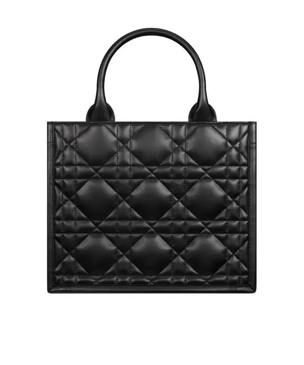 Dior Small Book Tote