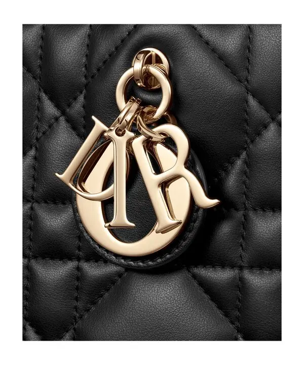 Dior Small Book Tote