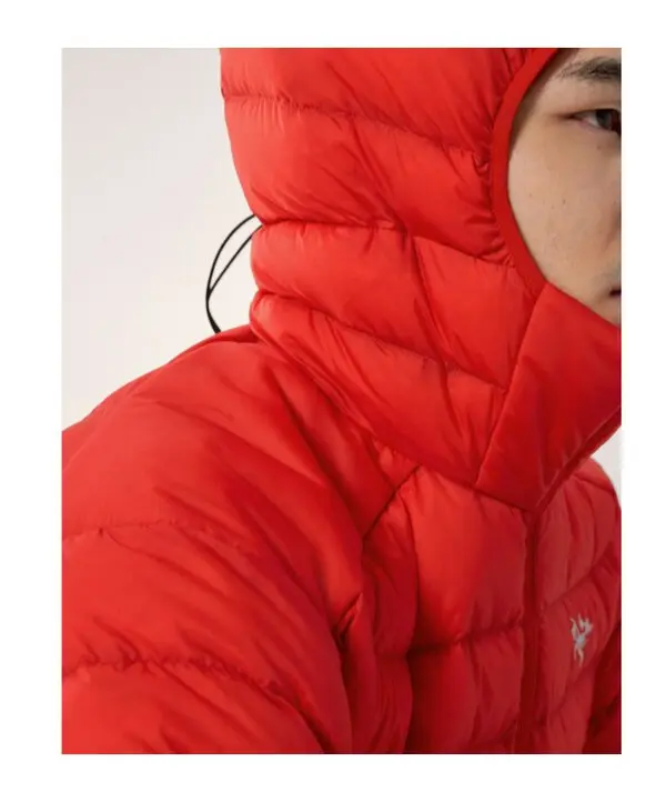 Arc'teryx Cerium Hooded Down Jacket