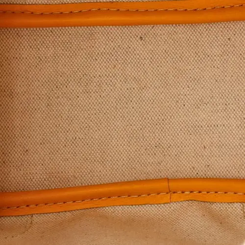 Goyard Beluga Bag Printed Coated Canvas Mini