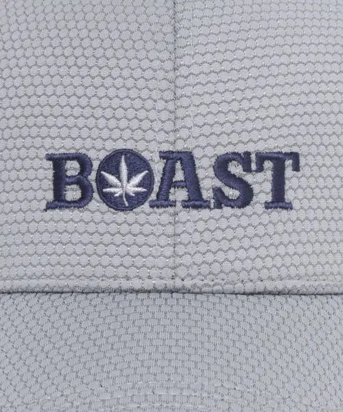 BOAST Dimple" Snapback - Grey