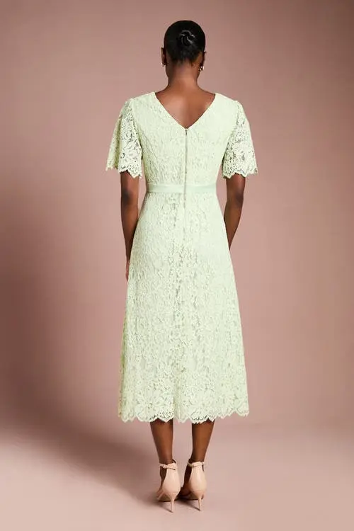 Coast Scallop Hem V-neck Lace Midi Dress