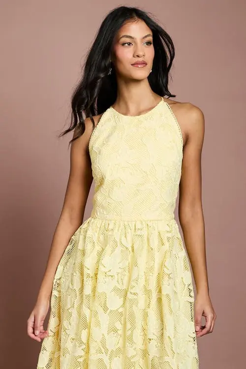 Coast Petite Halterneck Lace Midi Dress