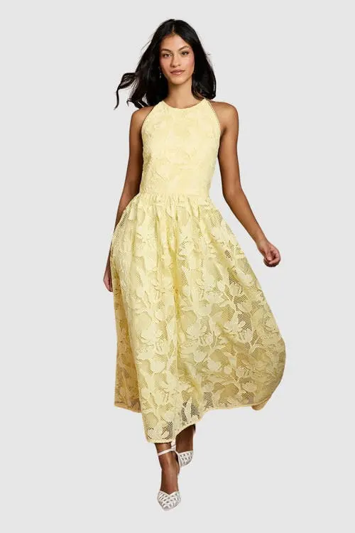 Coast Petite Halterneck Lace Midi Dress - Butter