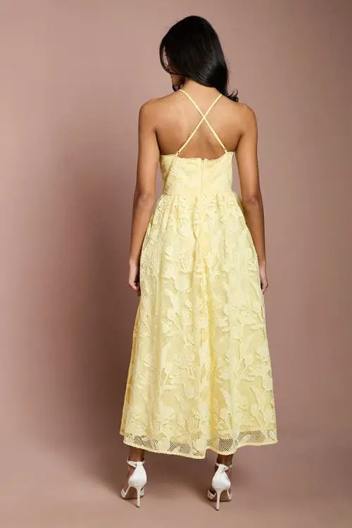 Coast Petite Halterneck Lace Midi Dress - Butter