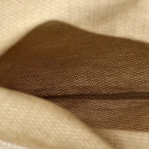 Hermès Aline Bag Toile Mm