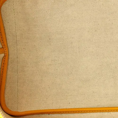 Goyard Artois Tote Coated Canvas Mm