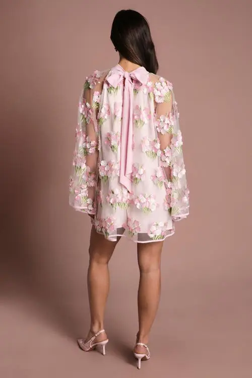Coast Long Sleeve Embroidered Mesh Shift Dress