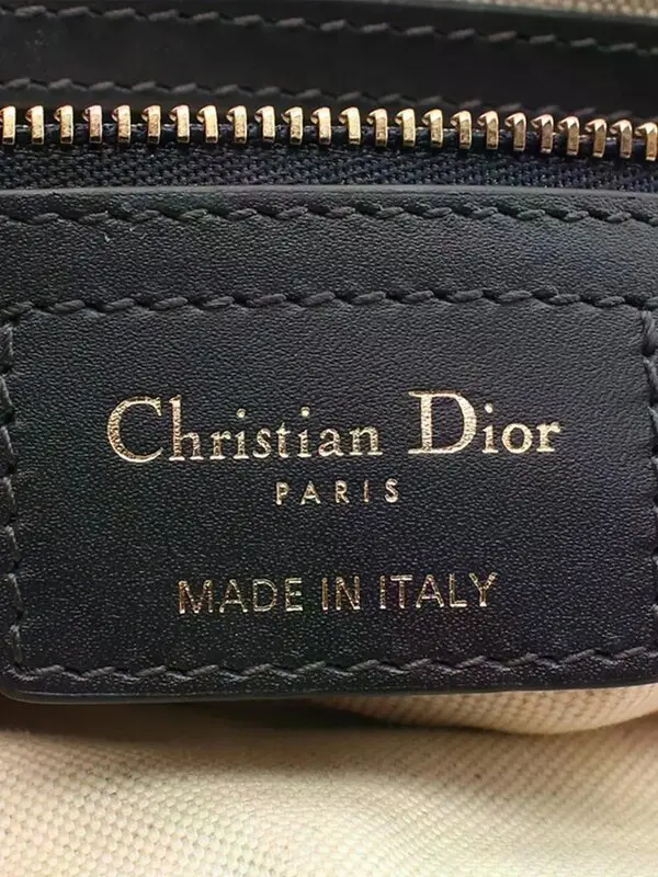 Dior 2010-2026 Oblique Canvas Saddle Bag Shoulder Bag
