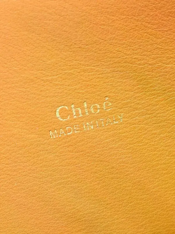 Chloé 2010-2026 Crocodile Embossed Aby Satchel