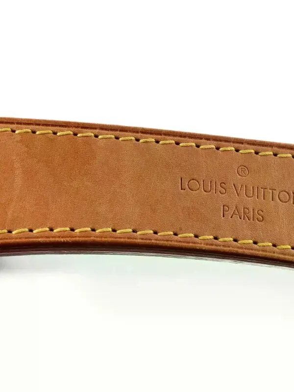 LOUIS VUITTON Monogram Canvas Pm Hobo Bag