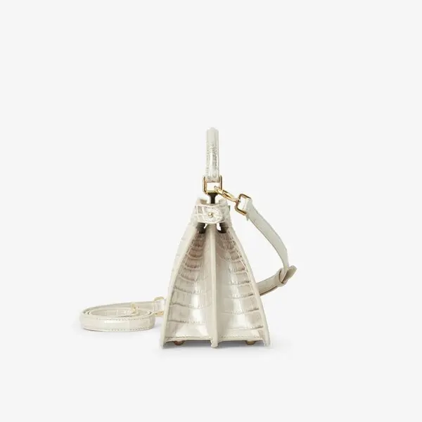 Fendi Peekaboo Iseeu Petite Bag
