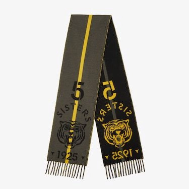Fendi Scarf - Multicolour