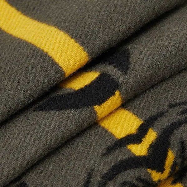 Fendi Scarf