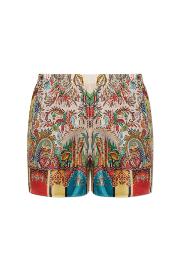 Etro Silk Shorts - Multicolour