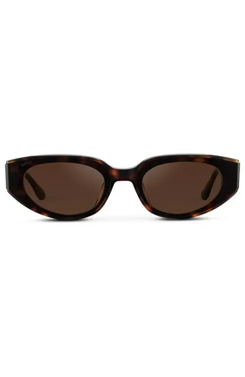 WMP EYEWEAR Astra 51mm Flat Lens Cat-eye Sunglasses - Brown Tortoise