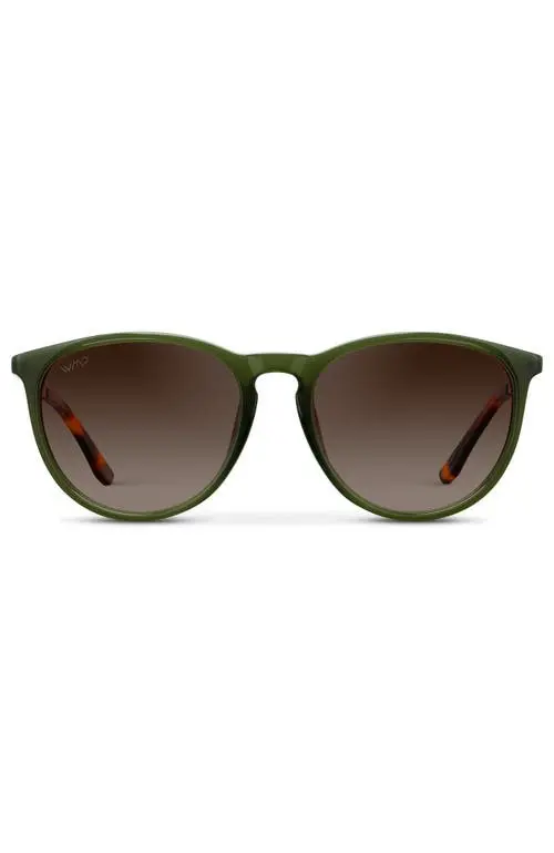 WMP EYEWEAR Drew55mm Round Polarized Sunglasses - Olive Green