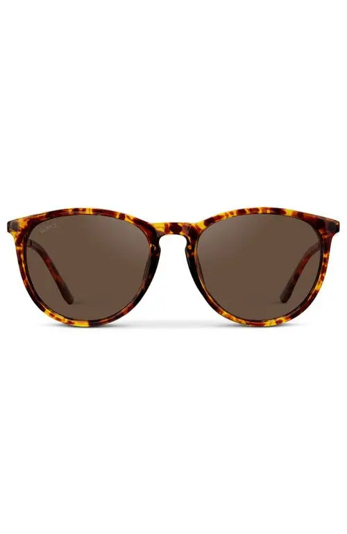 WMP EYEWEAR Drew 55mm Round Polarized Sunglasses - Tortoise