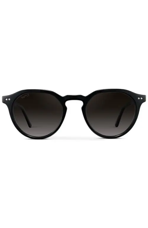 WMP EYEWEAR Ralph 48mm Round Frame Sunglasses - Black