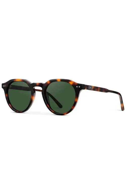 WMP EYEWEAR Ralph48mm Geometric Round Polarized Sunglasses - Brown Tortoise
