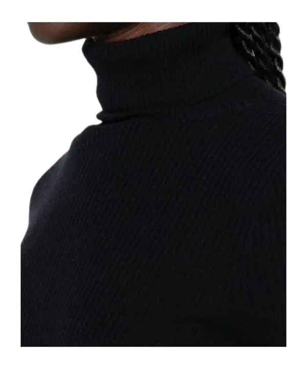 Fabiana Filippi Ribbed-knit Roll-neck Sweater