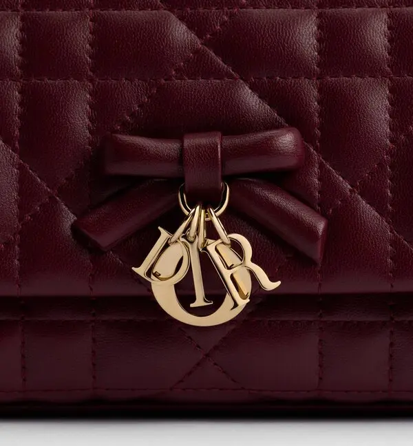 Dior Flap Shoulder Bag
