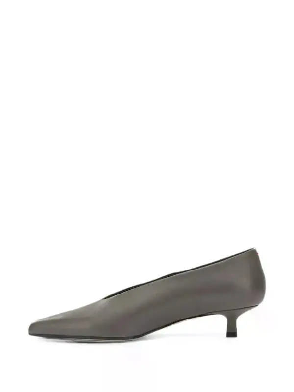 AeydĒ Clara Pointed-toe Pumps