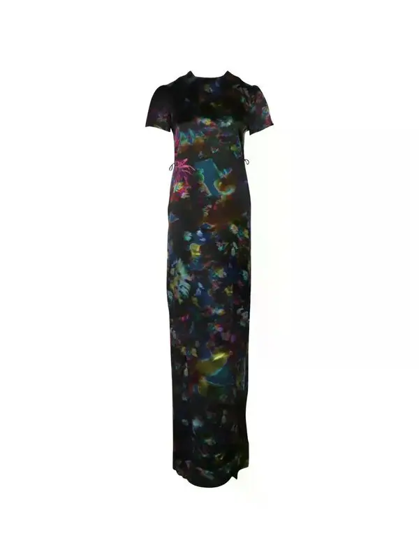 Erdem Aurelia Printed Maxi Dress