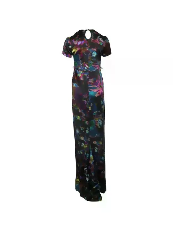 Erdem Aurelia Printed Maxi Dress