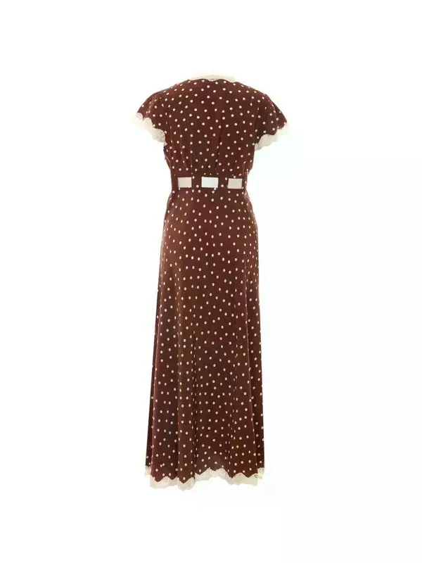 Rixo Marlice Polka-dot Silk Maxi Dress - Brown