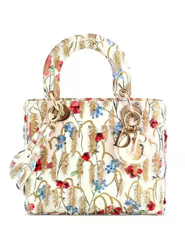 Dior Lady Embroidered Printed Leather Satchel - Multicolour