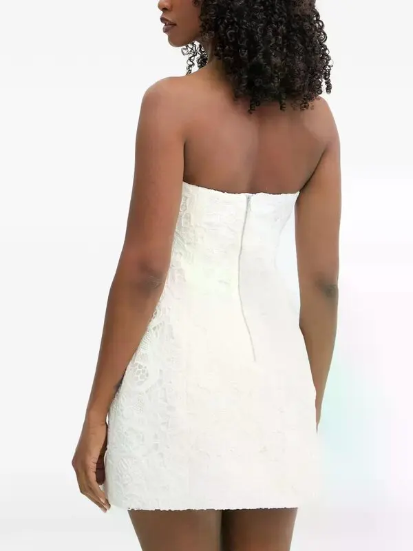 Bardot Karoline Lace-overlay Strapless Mini Dress