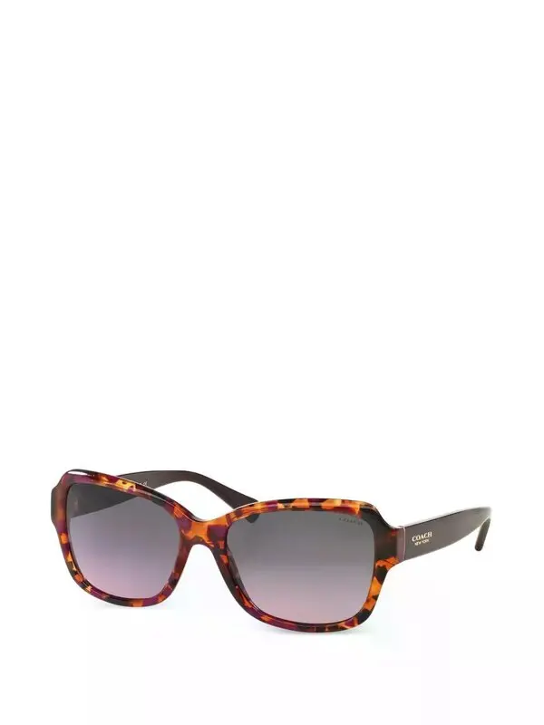 COACH Tortoiseshell Effect Square Frame Sunglasses - Brown