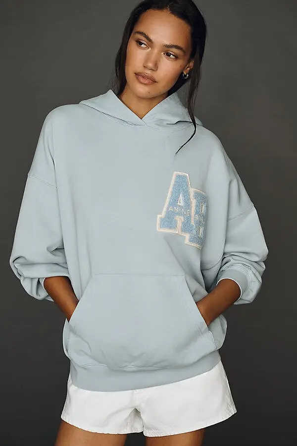 ANINE BING Harvey Hooded Cotton Sweatshirt