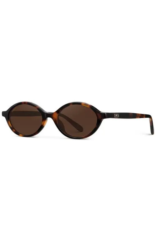WMP EYEWEAR Selene49mm Classic Oval Sunglasses - Brown Tortoise
