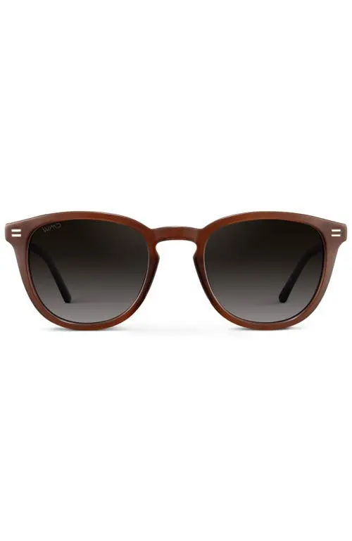 WMP EYEWEAR Walker Rounded Oval Tortoiseshell Sunglasses - Burnt Cedar Brown