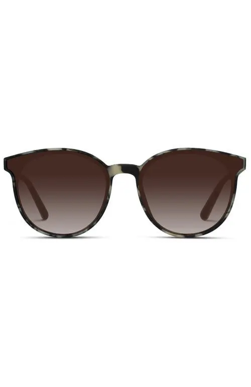 WMP EYEWEAR Aubrie 53mm Rounded Cat-eye Polarized Sunglasses - Beige Tortoise