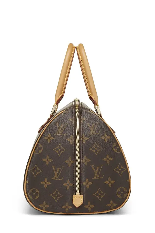 LOUIS VUITTON Monogram Ribera