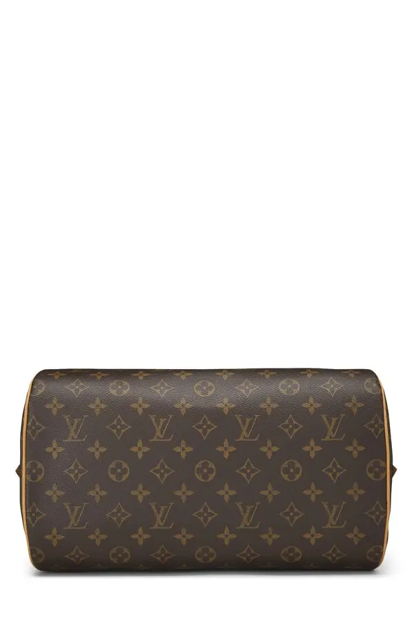 LOUIS VUITTON Monogram Ribera