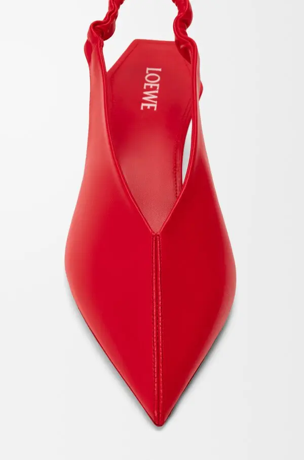 Loewe Pointed-toe Slingback Pumps