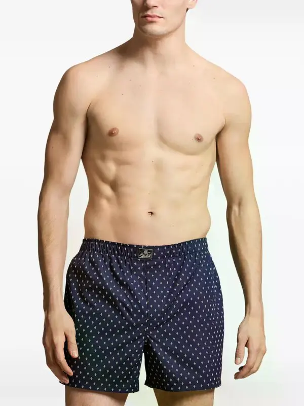 Polo Ralph Lauren Polo Bear Geometric-print Boxers - Blue