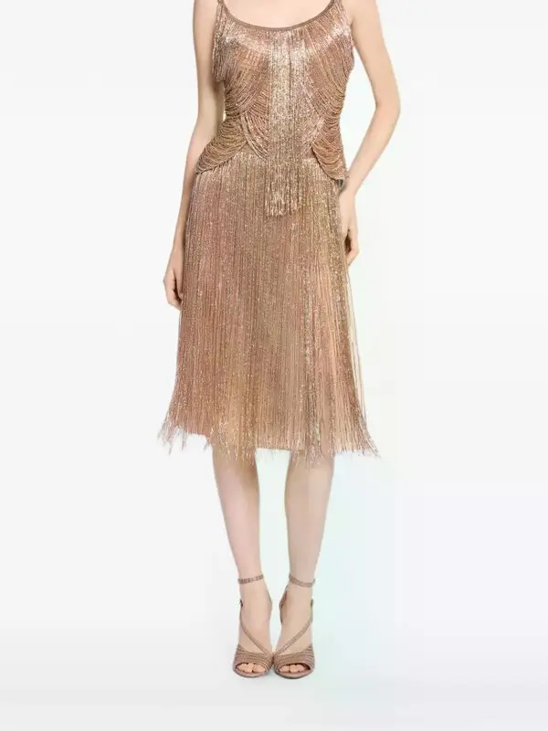 Elie Saab Bead-embroidered Fringed Midi Skirt