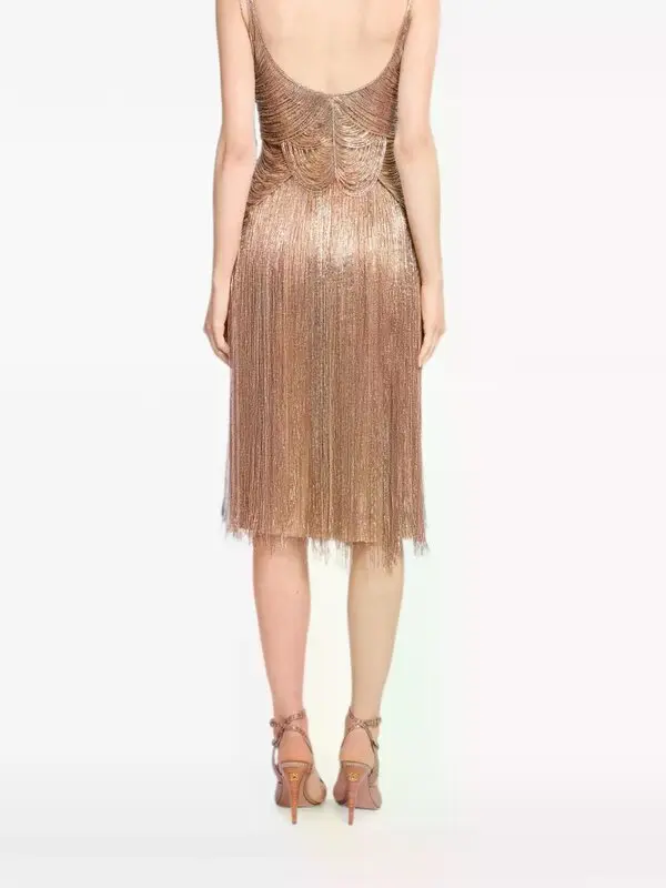 Elie Saab Bead-embroidered Fringed Midi Skirt