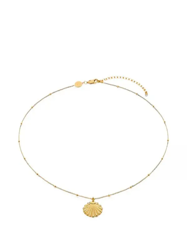 YOJ Conchigla Shell-pendant Necklace - Gold