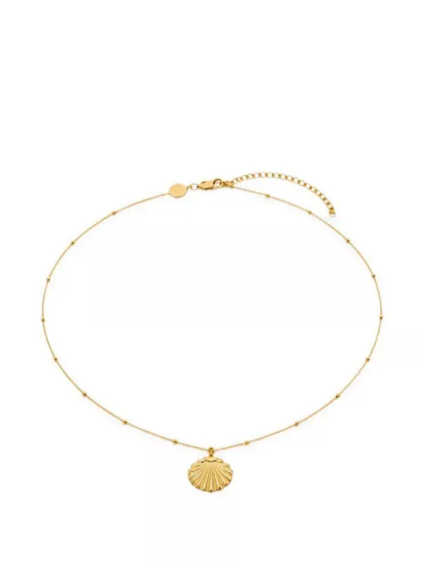 YOJ Conchiglia Shell Pendant Necklace - Gold