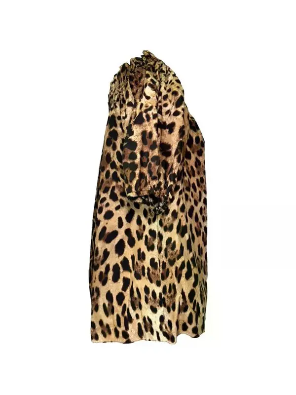 Dolce & Gabbana Leopard-print Off-shoulder Top