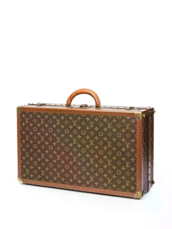 LOUIS VUITTON Gemine Monogram Shoe Luggage Bag