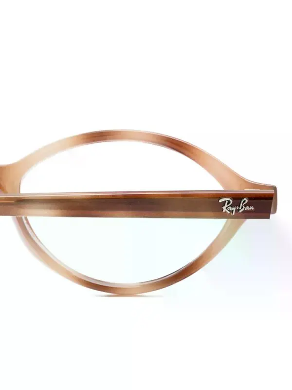 Ray-ban Oval-frame Glasses
