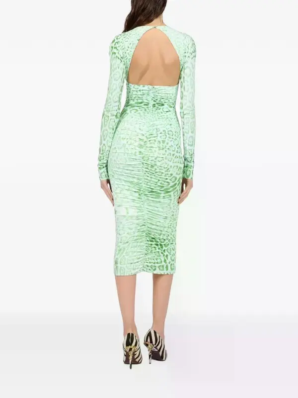Roberto Cavalli Jaguar-print Ruched Midi Dress