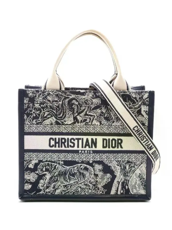 Dior Small Book Tote Bag - Blue